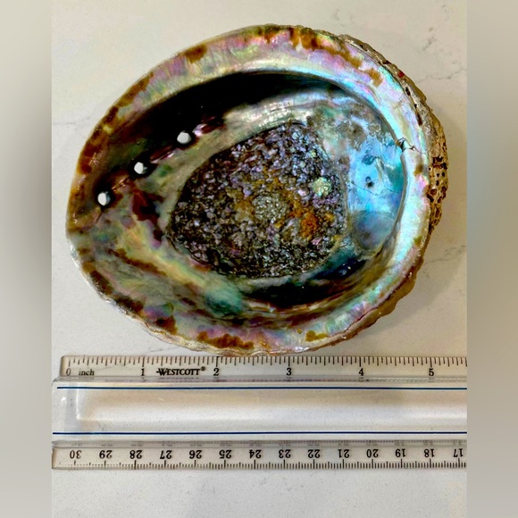 Accents | Abalone Shell Smudge Bowl | Poshmark